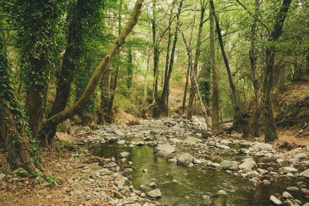 GÓRY TROODOS - OMODOS, WODOSPAD MILLOMERIS | Vanilla Island